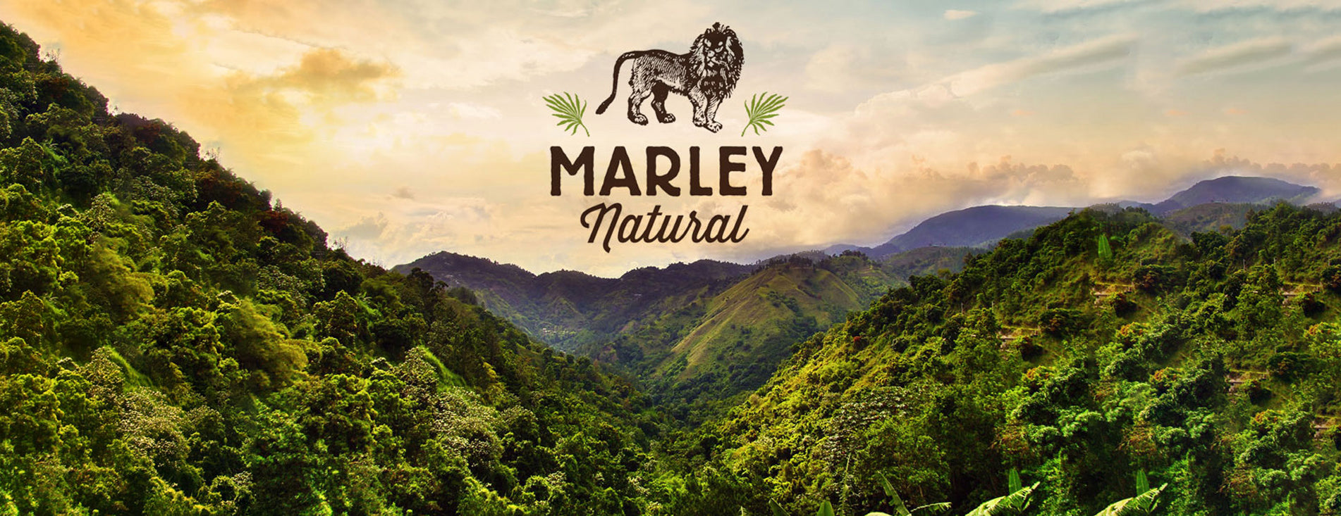 Marley Natural | Evertree EU & UK Wholesale – Evertree Wholesale